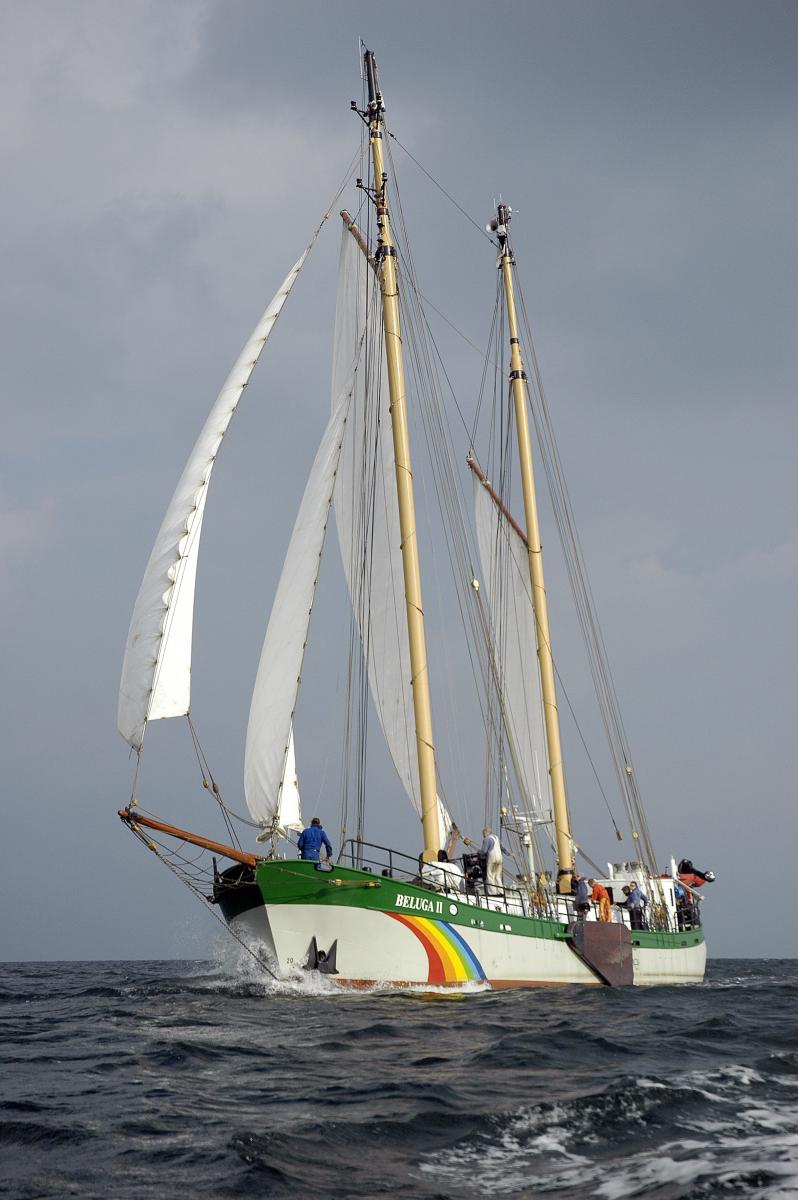 An Bord der Beluga II › We Like